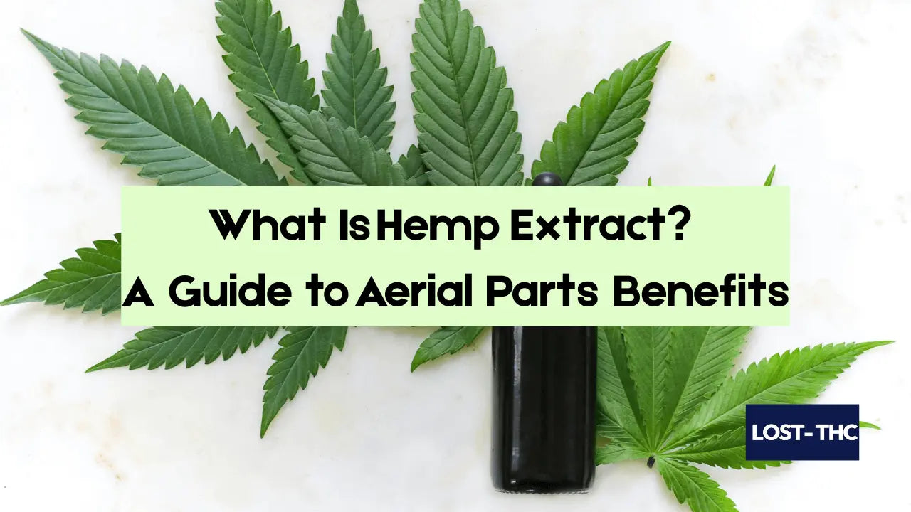 What Is Hemp Extract? A Guide to Aerial Parts Benefits - Lost-THC ...